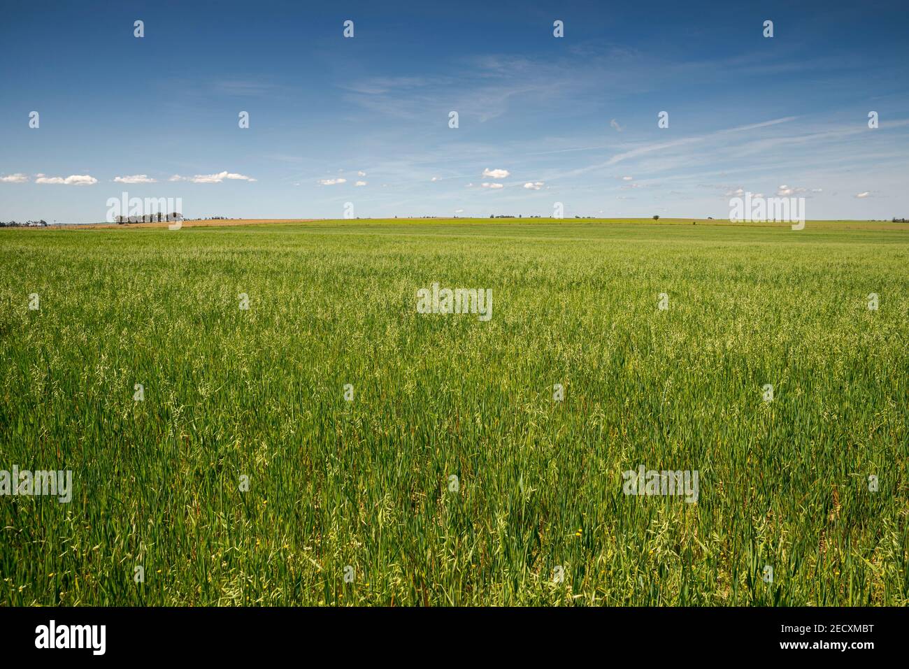 Agrarian steppe hi-res stock photography and images - Alamy