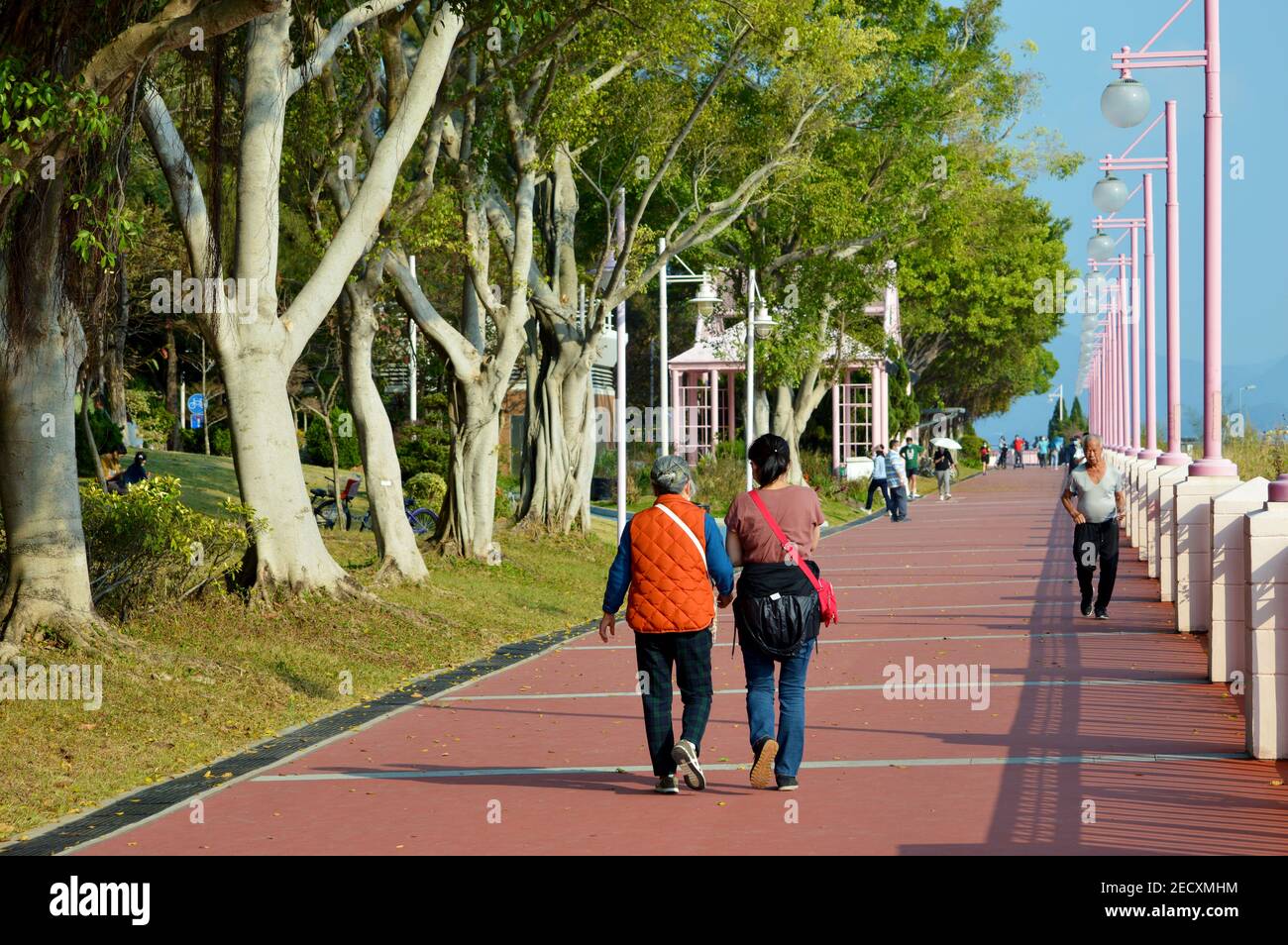 Waterfront promenade along Tolo Harbour in Tai Po Waterfront Park ...
