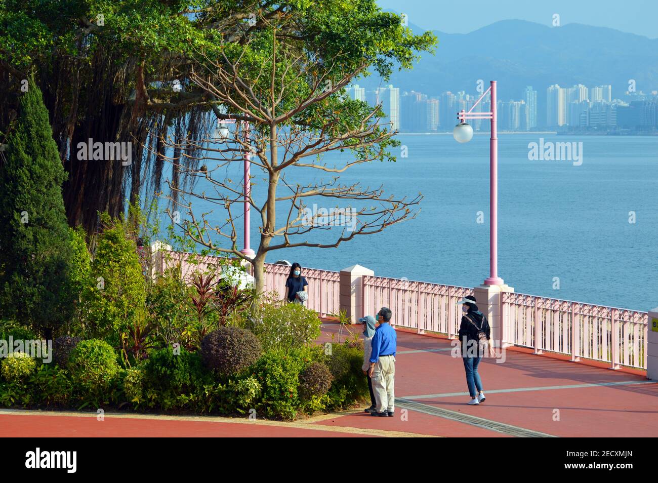 Tai Po Waterfront Park High Resolution Stock Photography and Images - Alamy
