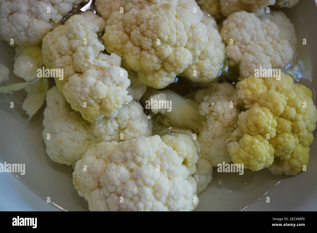 Fresh white cauliflower in water, healthy wholesome food and vegetables ...