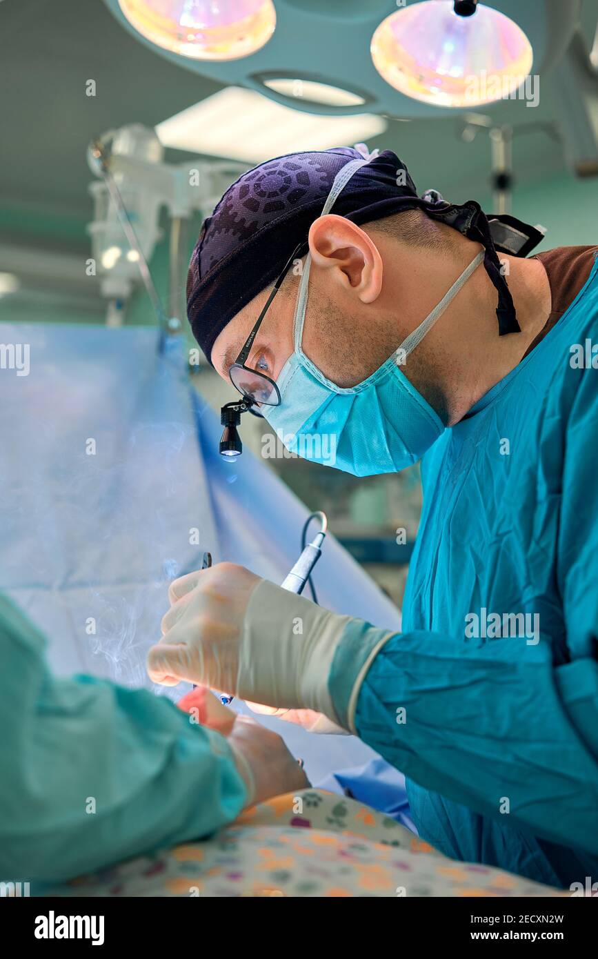 Team surgeons are performing an operation, handsome middle aged doctor ...