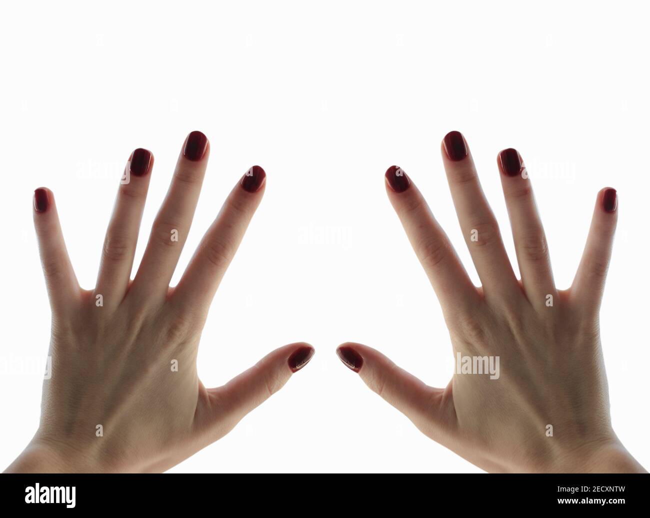 Women's hands on a white background with bright nails Stock Photo - Alamy