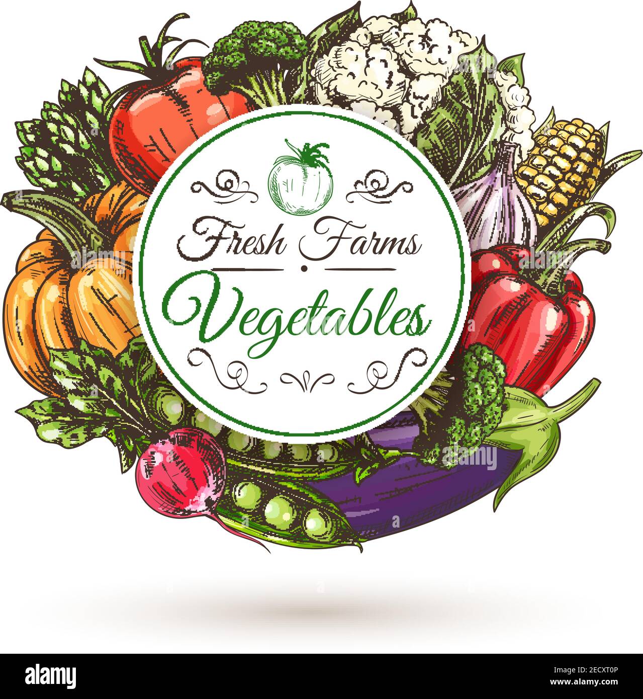 Fresh farm vegetables round badge, encircled by sketched tomato, bell ...