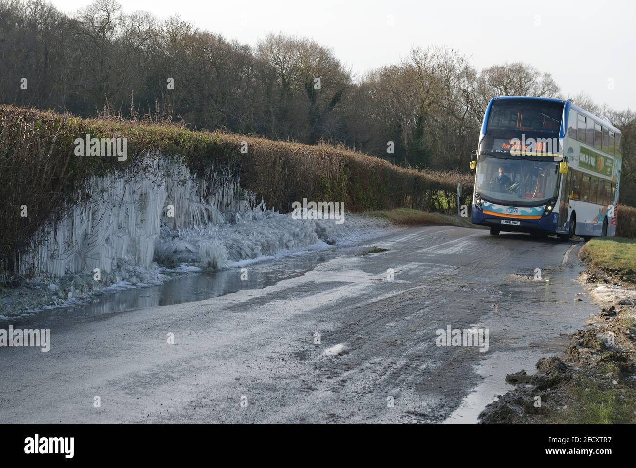 A double decker bus beside a roadside hedge completely covered in ice ...
