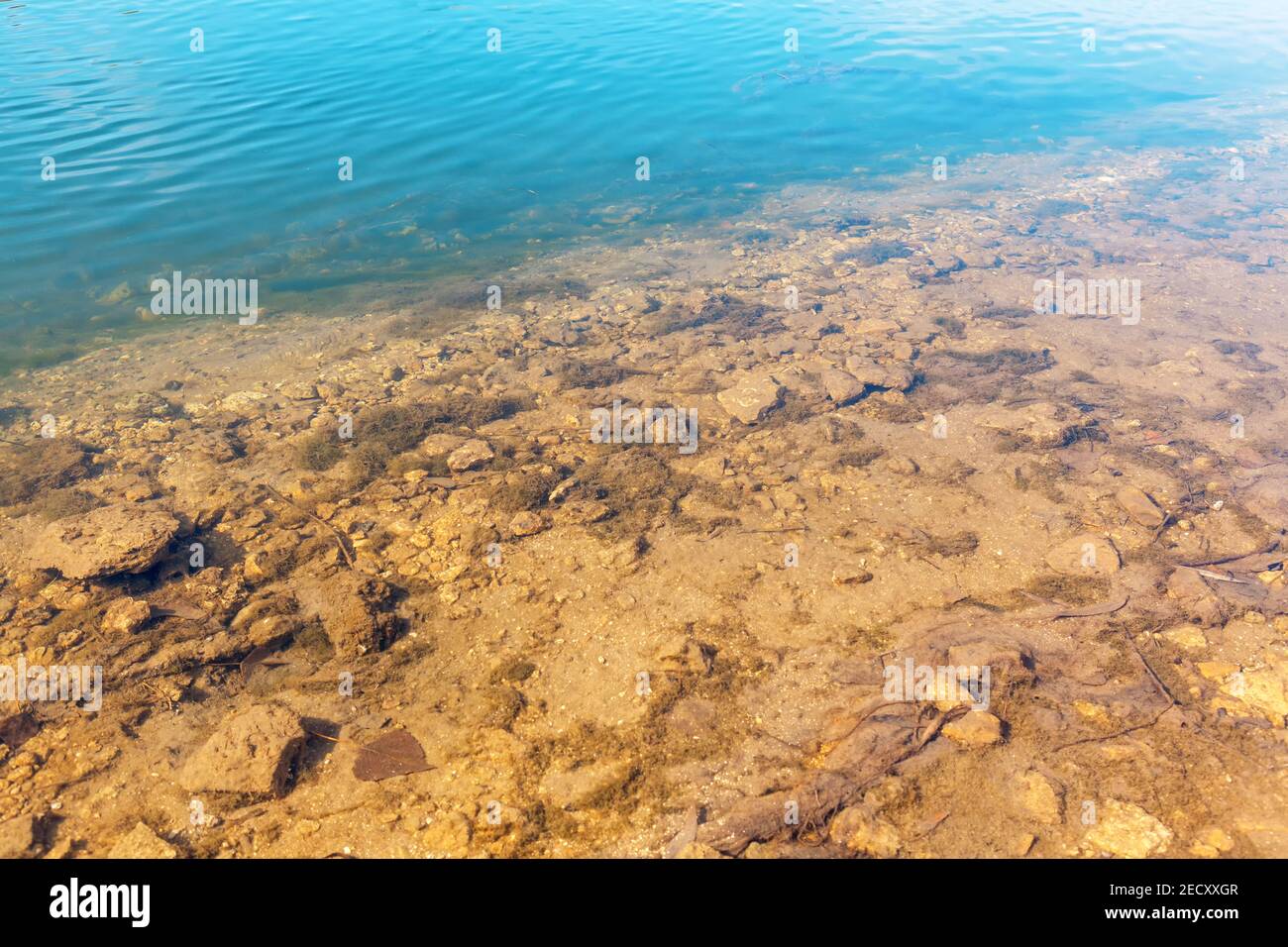 River bottom with stones . Transparent coastal water Stock Photo - Alamy
