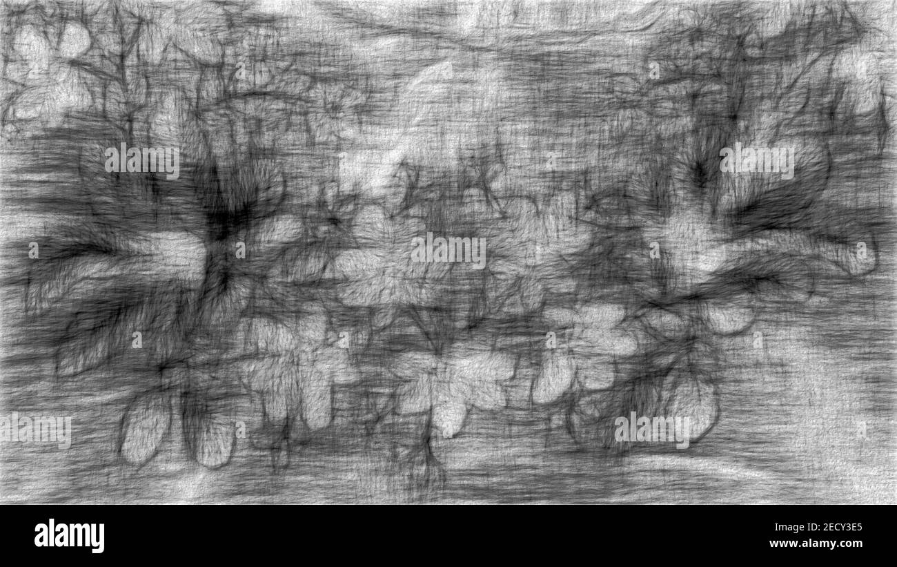 Serbian pattern Black and White Stock Photos & Images - Alamy