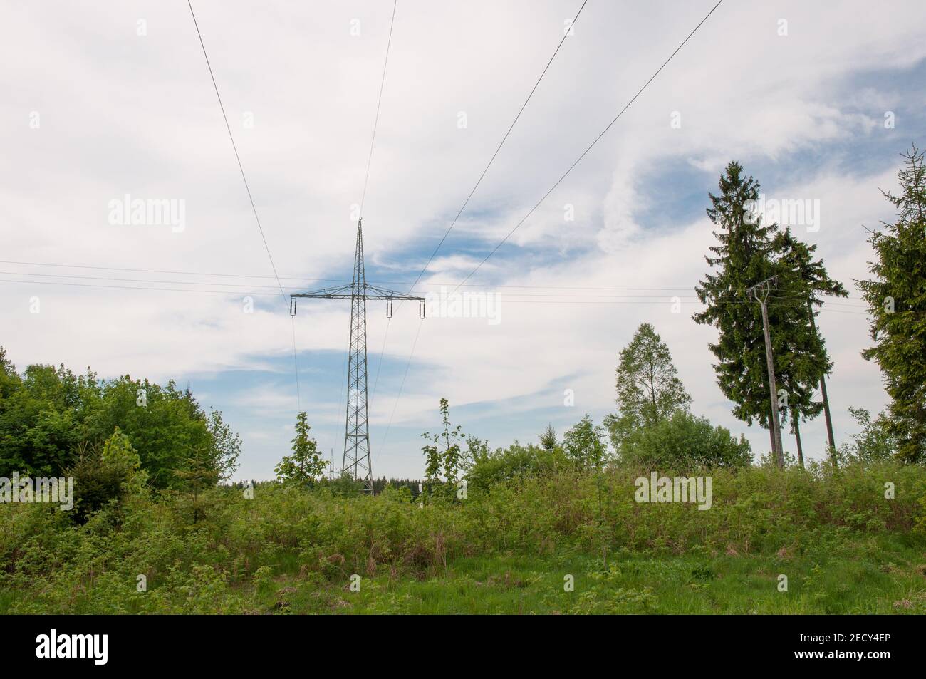 Power lines in Harz mountains in Germany Stock Photo - Alamy