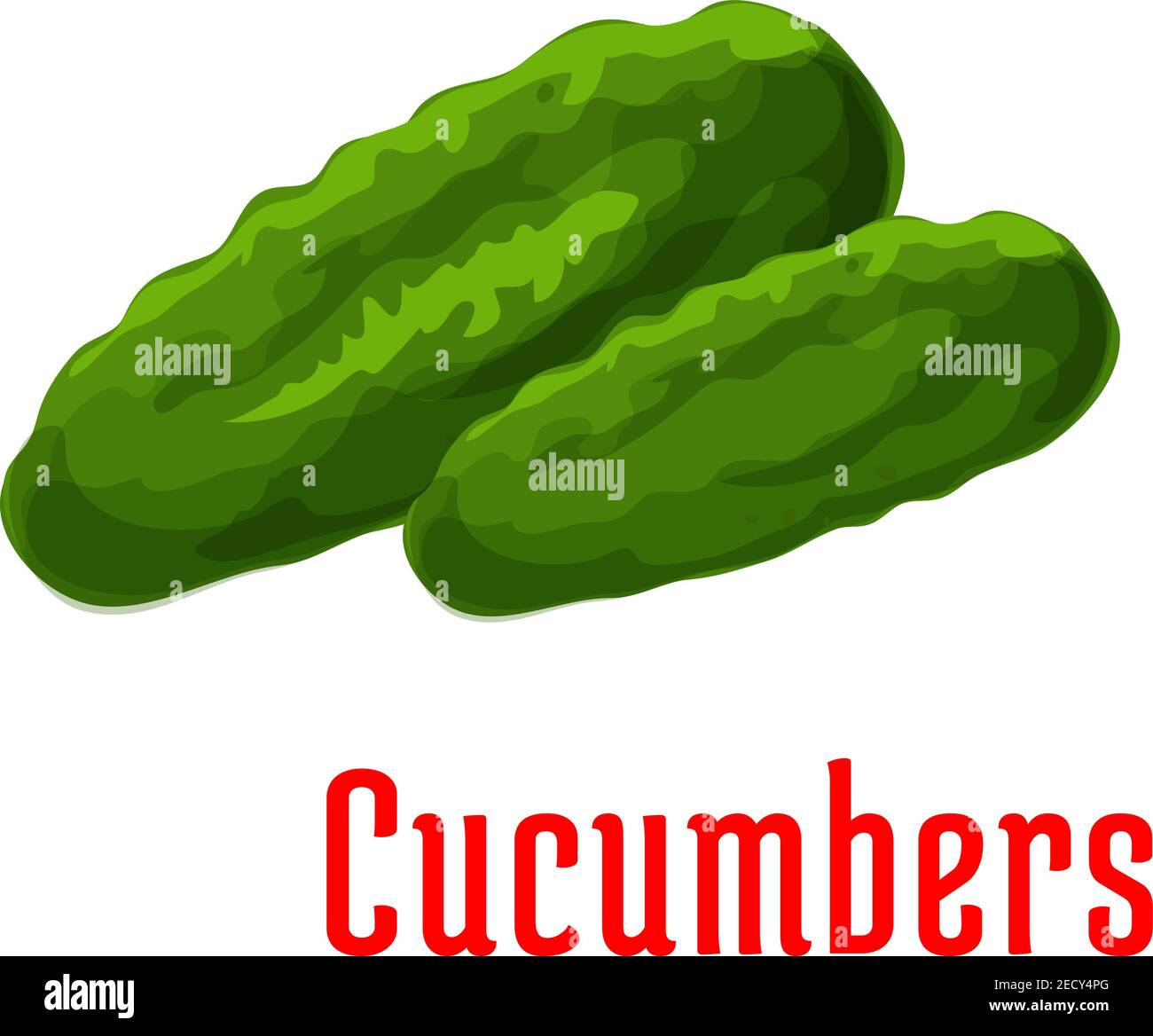 Cucumber vegetable icon. Vector isolated cucumbers. Fresh food product ...