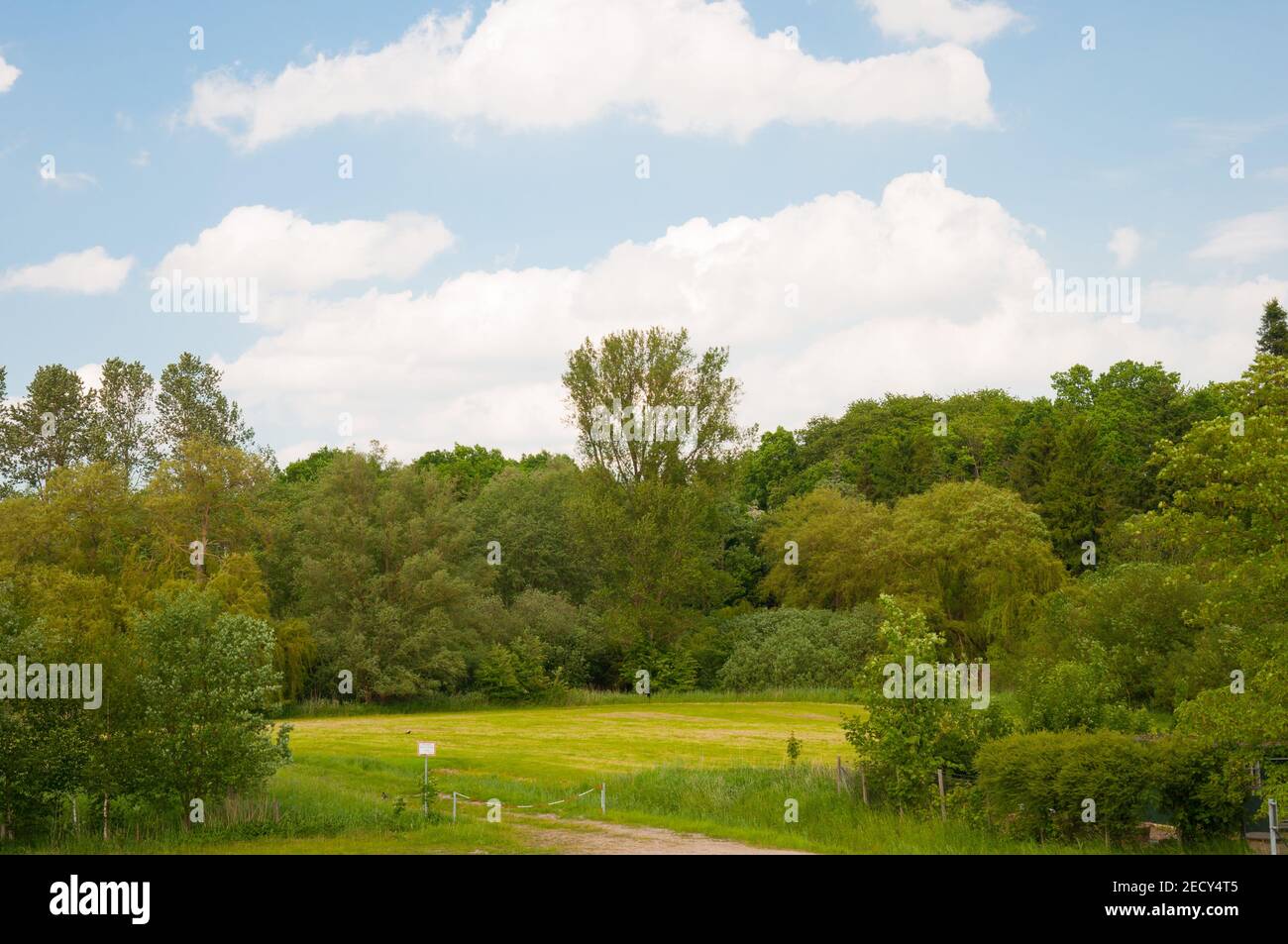 German countryside landscape with field and trees Stock Photo - Alamy