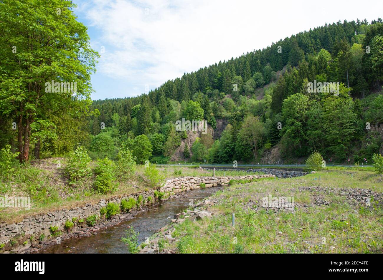 Innerste river in the Harz mountains in Germany Stock Photo - Alamy