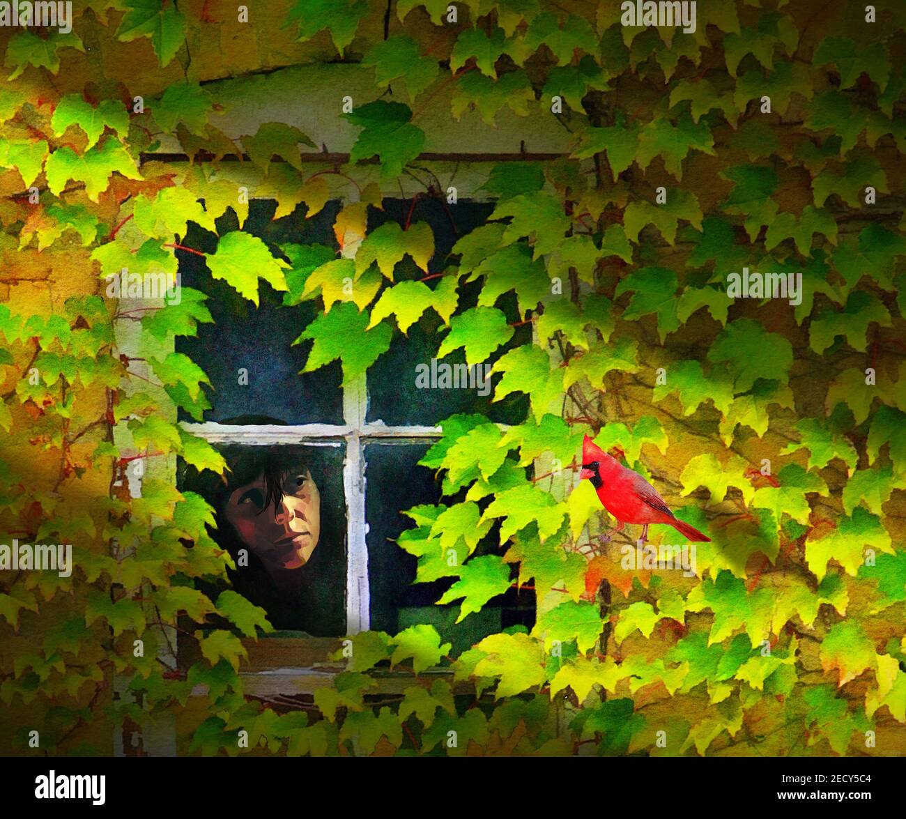 A young girl looks out of a vintage window that is surrounded with ivy ...