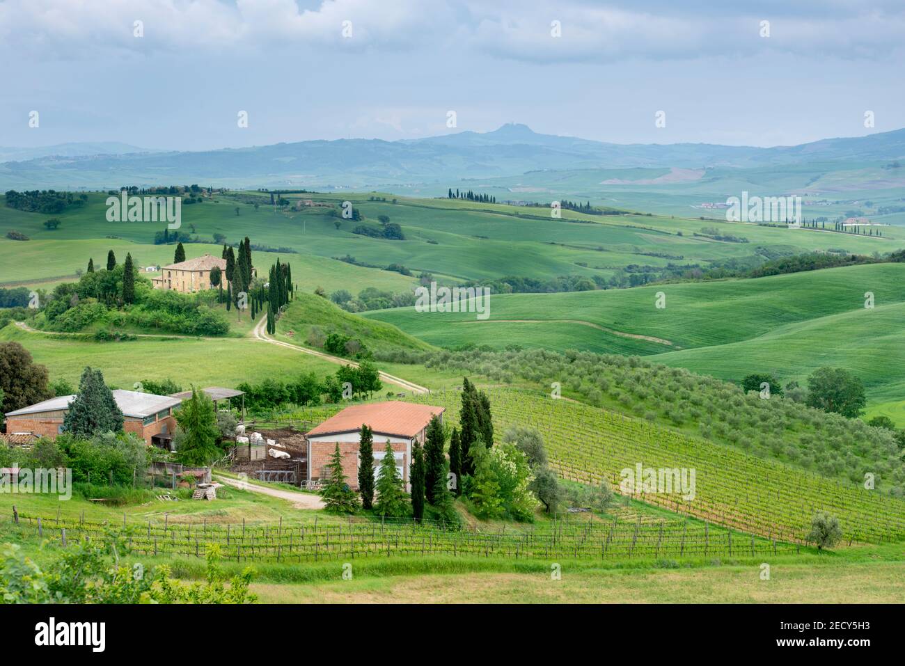 The iconic landscape of Orcia valley, Tuscany Stock Photo - Alamy