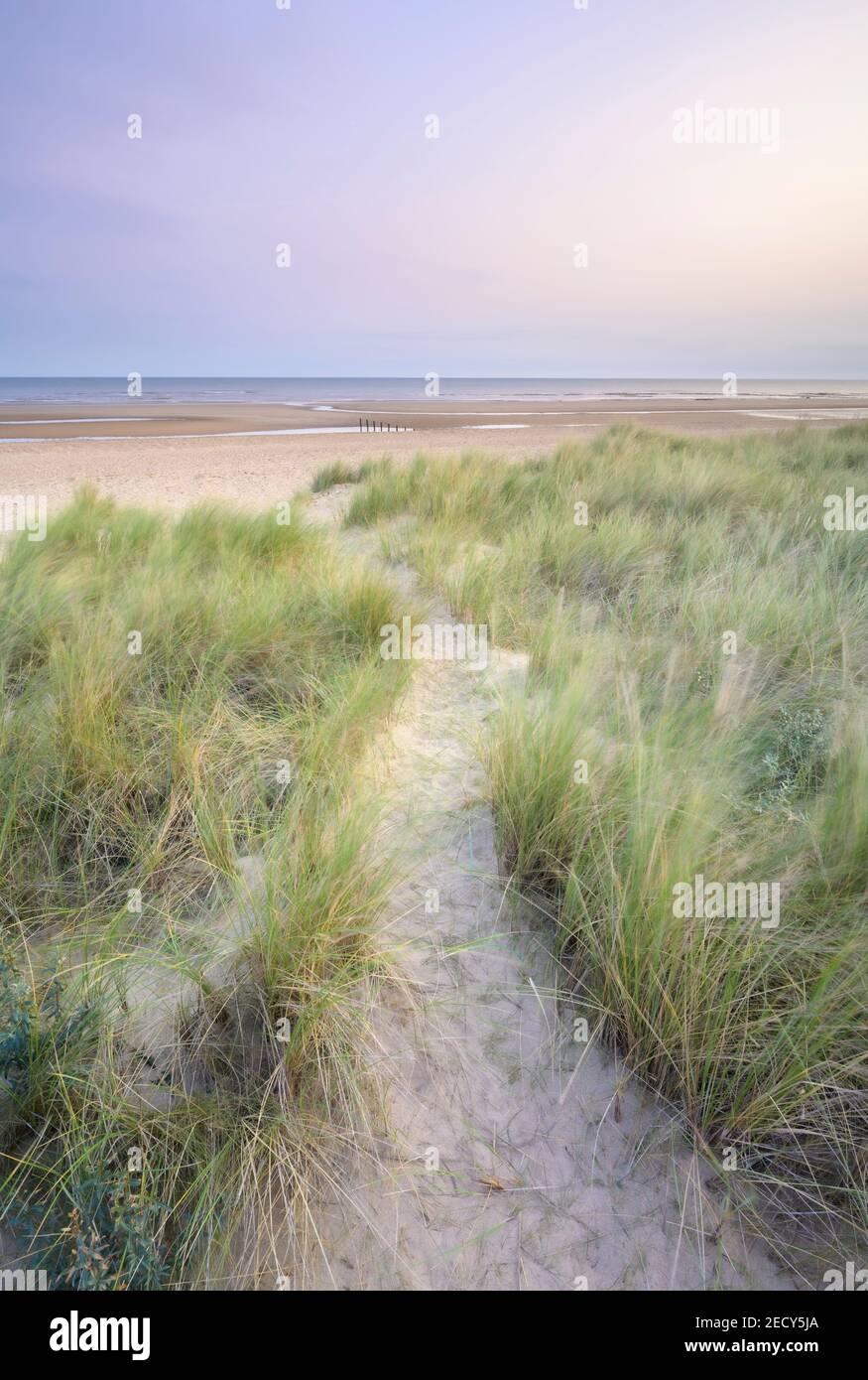 A path through the sand dunes towards the beach at Holme-Next-the-Sea ...