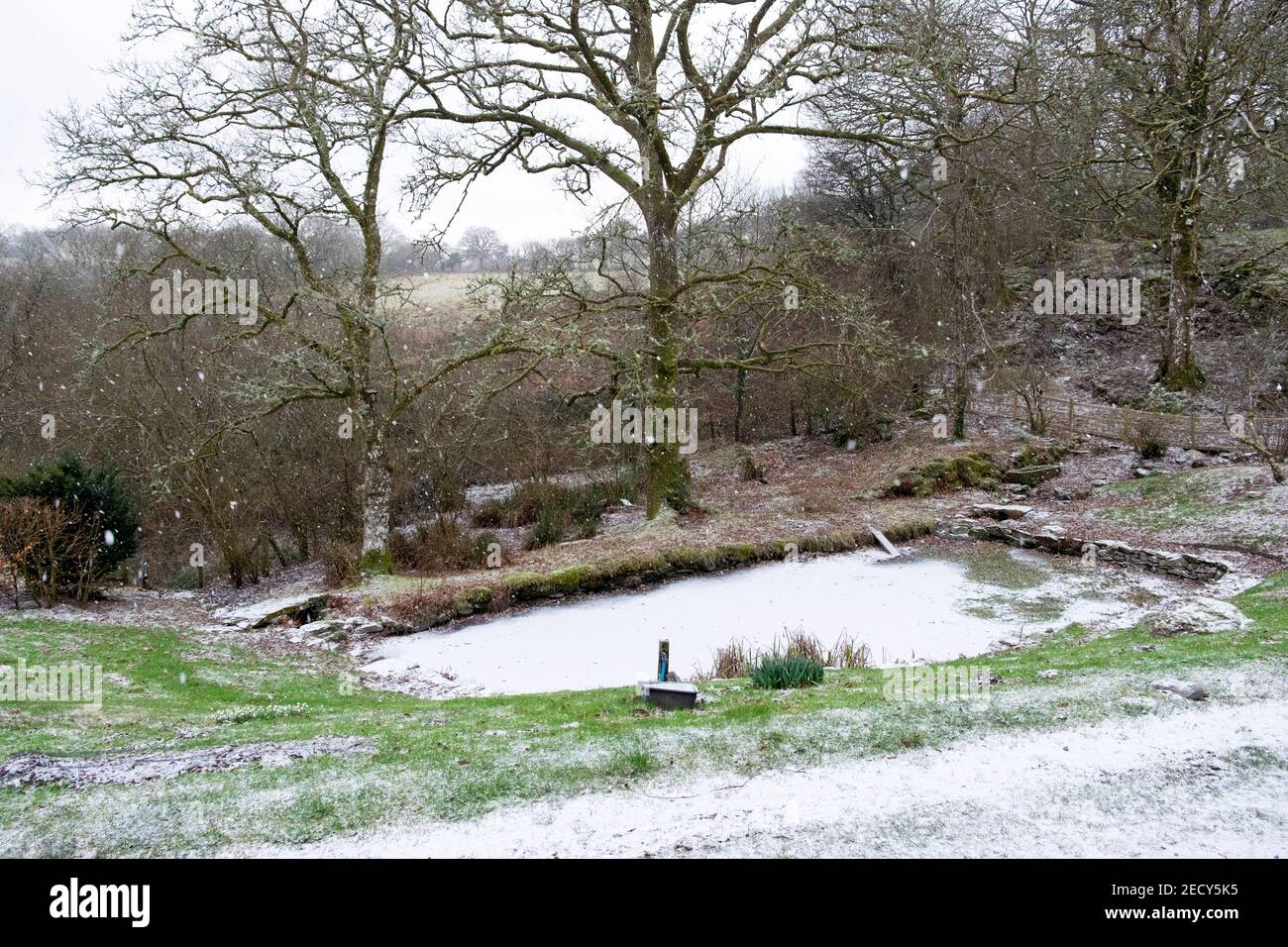Garden pond winter hi-res stock photography and images - Alamy