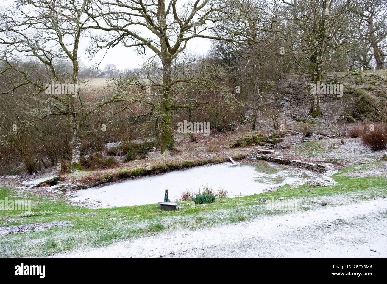 Garden pond winter hi-res stock photography and images - Alamy