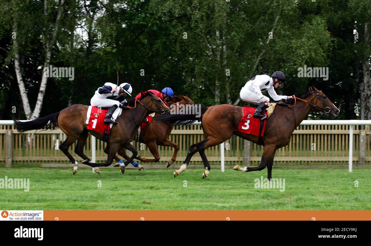 Soviet song horse hi-res stock photography and images - Alamy