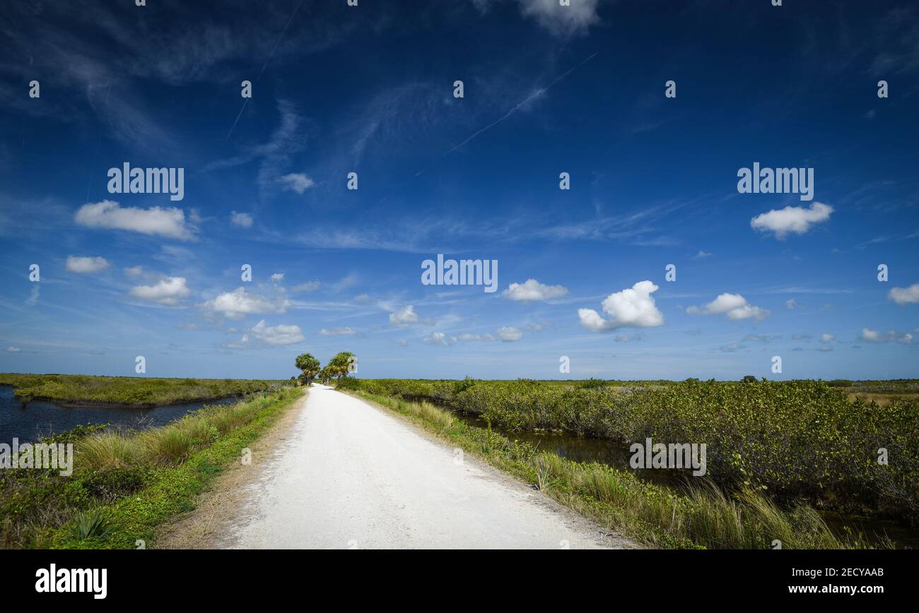 Beautiful Florida landscape Stock Photo - Alamy