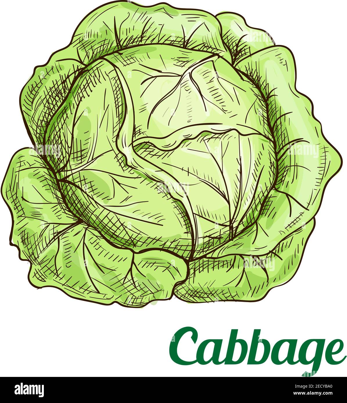 Kitchen garden market Stock Vector Images - Alamy