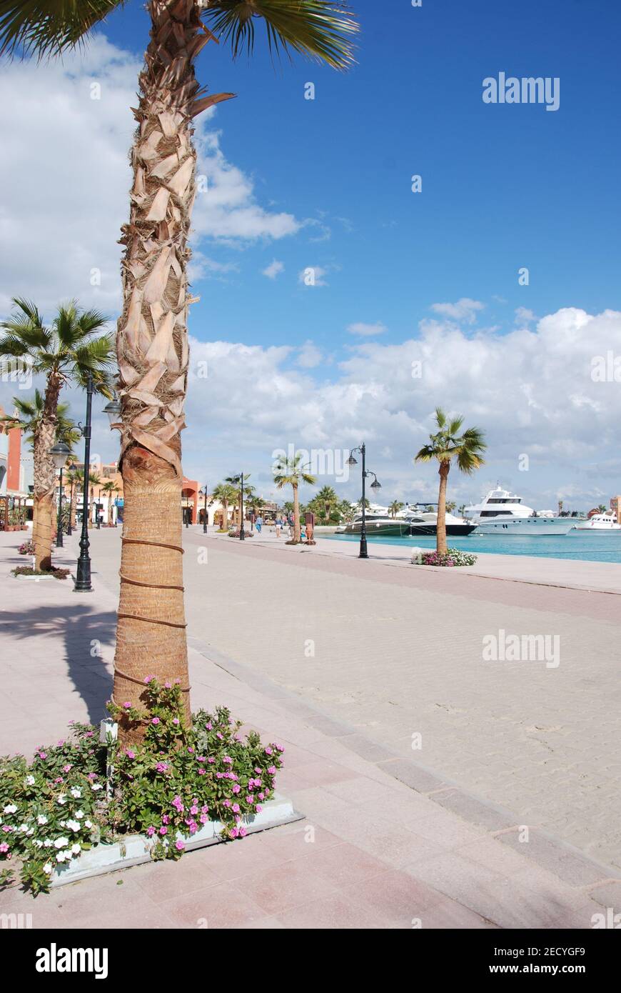 Hurghada city hi-res stock photography and images - Alamy