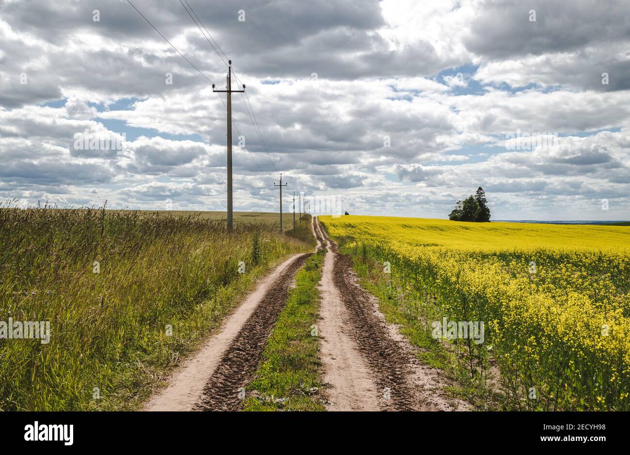 Rapeseed landscape hi-res stock photography and images - Alamy