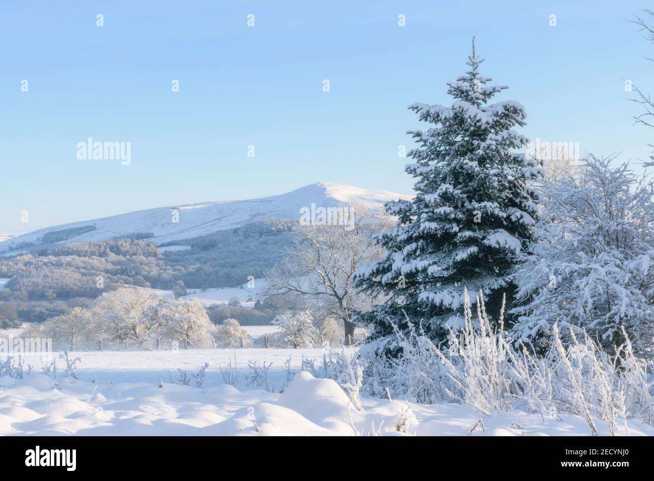 View to Beamsley Beacon from Bracken Gill golf course. Addingham Stock ...