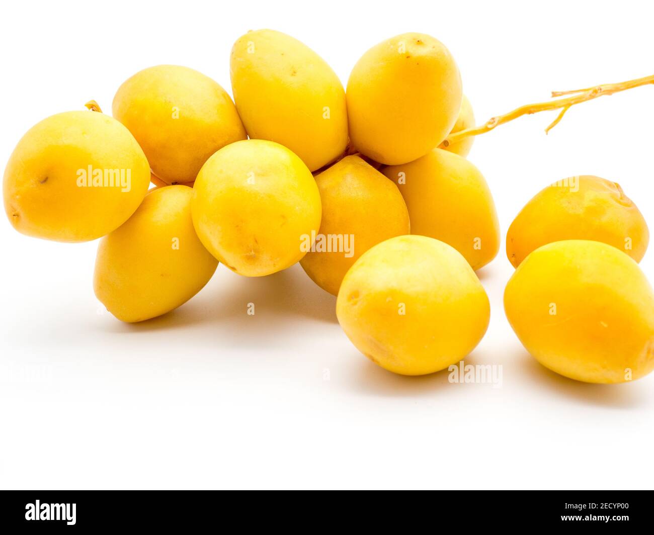 golden dates on white background Stock Photo - Alamy