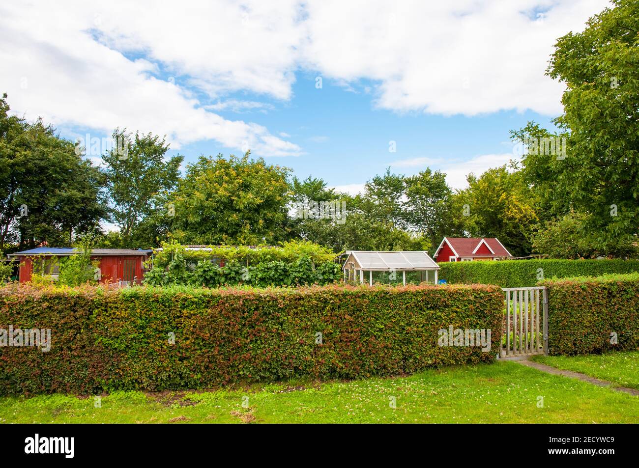 An allotment garden in town of Ringsted in Denmark Stock Photo - Alamy