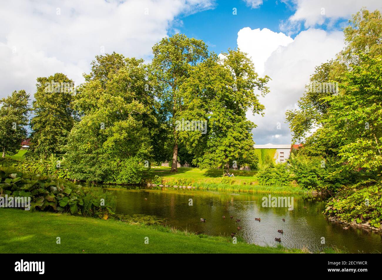 Pond in a park in town of Ringsted in Denmark Stock Photo - Alamy