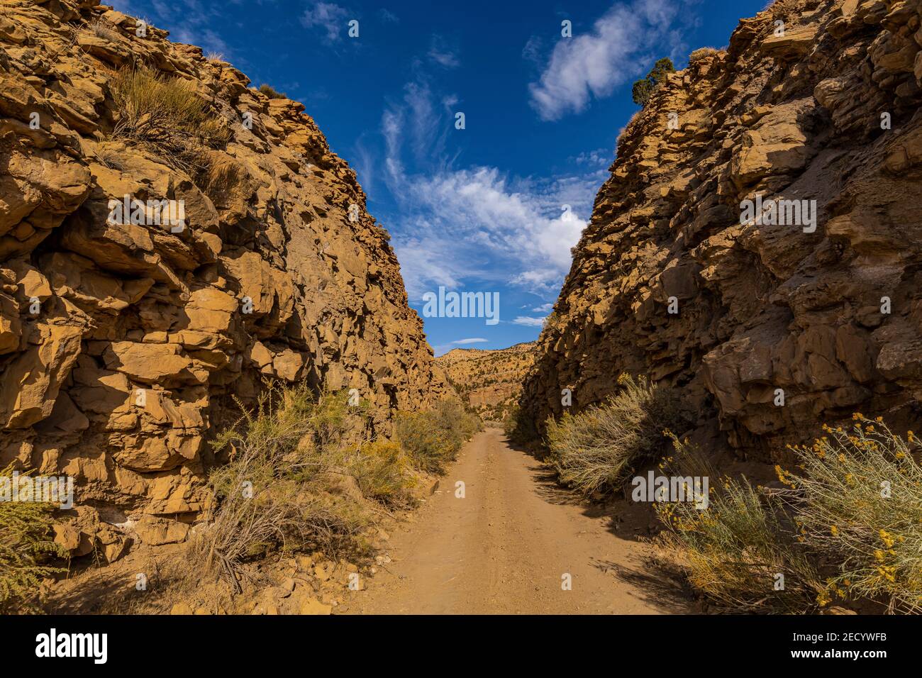 Old Denver & Rio Grande Western Railroad cut in the old coal mining ...