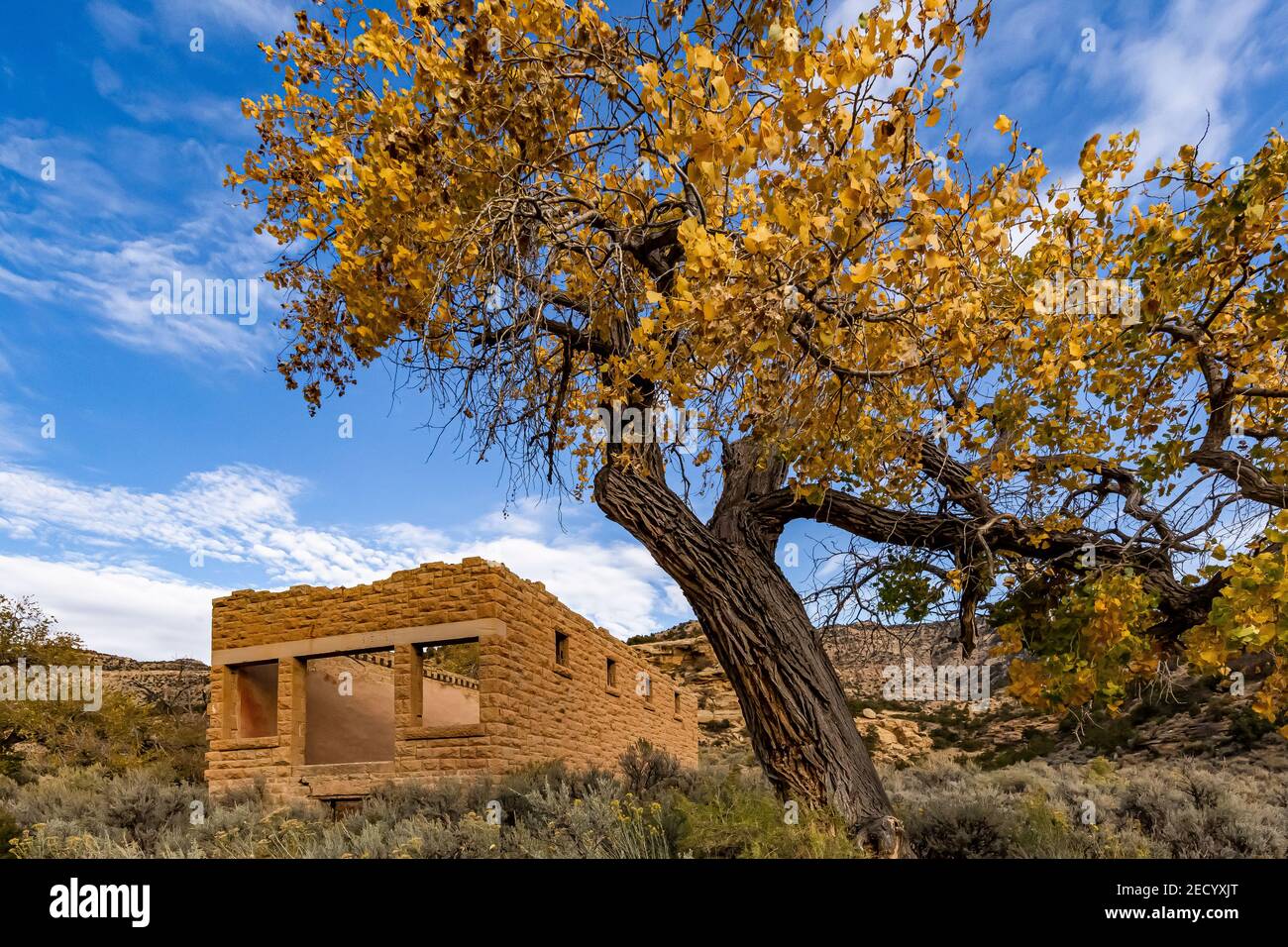Abandoned stone and timber building in the old coal mining ghost town ...