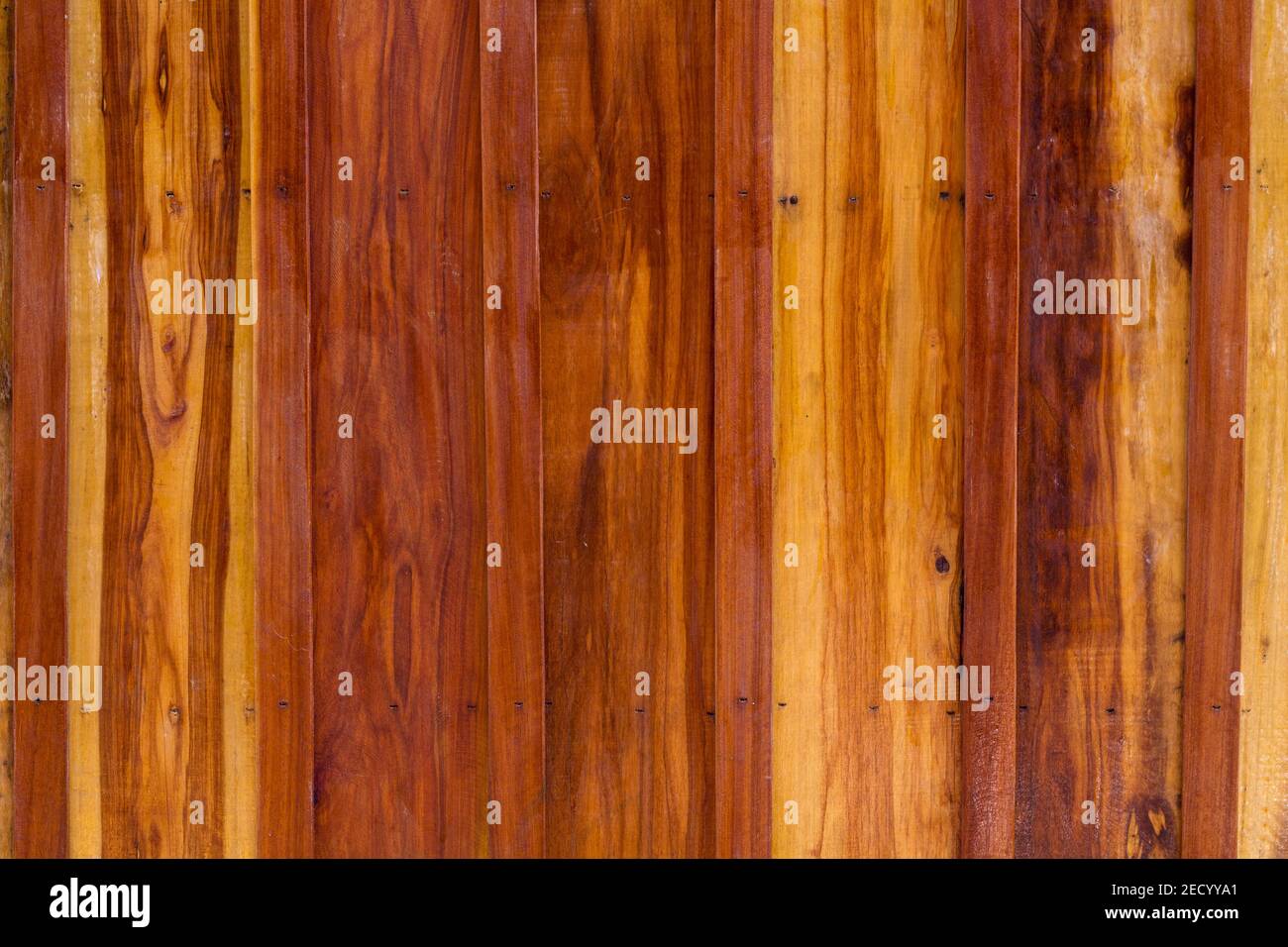 Polished wooden surface texture. Warm brown timber texture macro photo ...