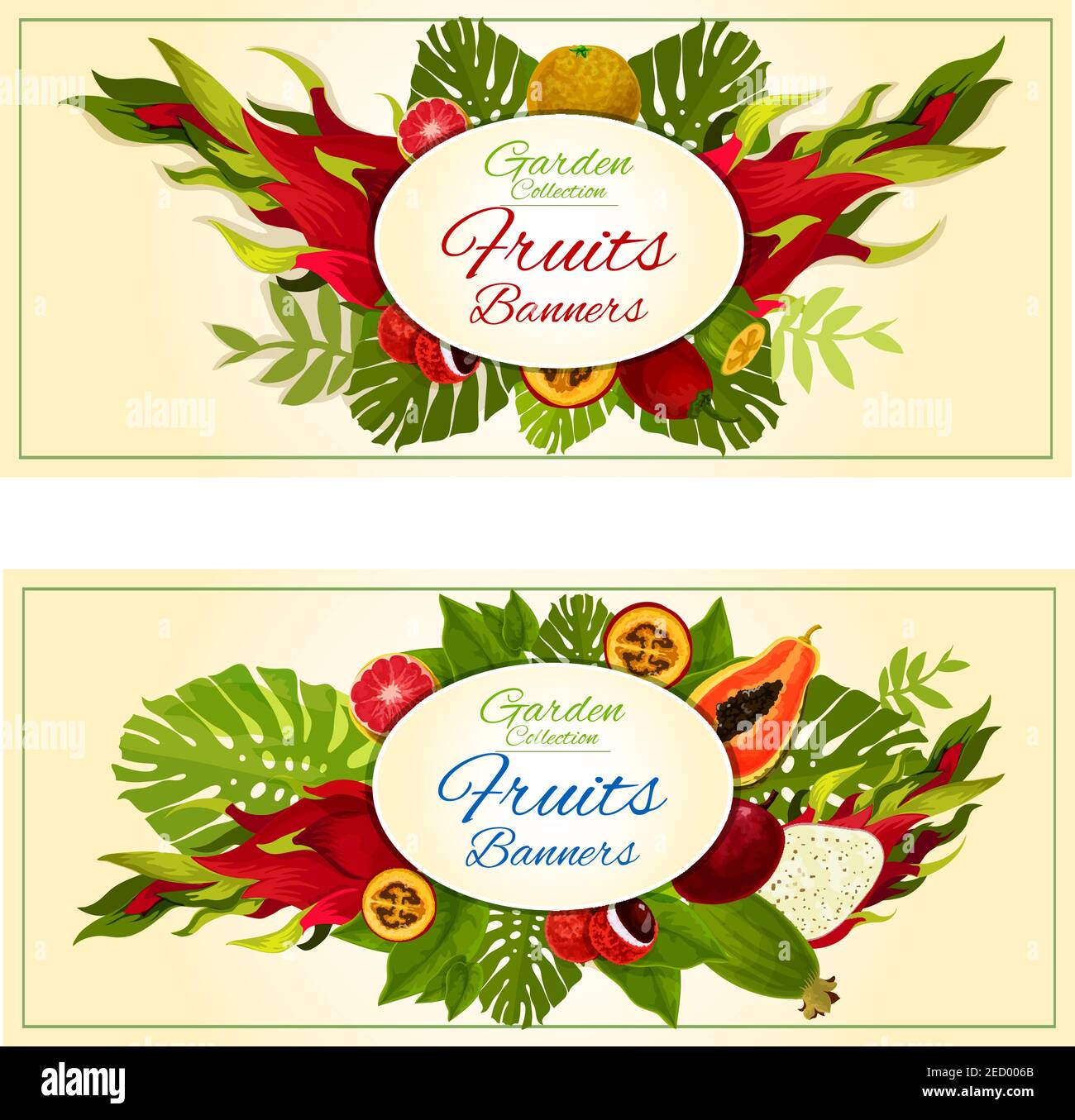 Garden fresh fruits banners. Vector design of tropical exotic fruits in ...