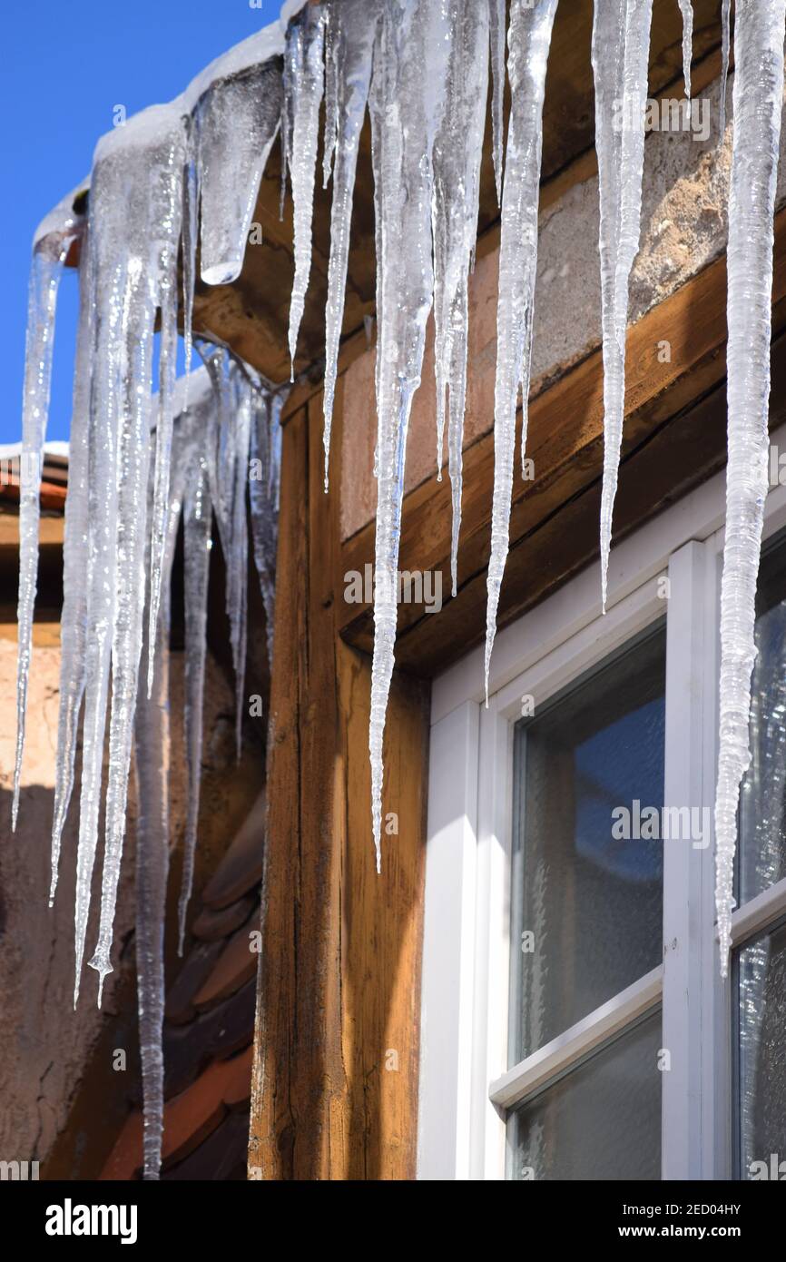 Grow again hi-res stock photography and images - Alamy