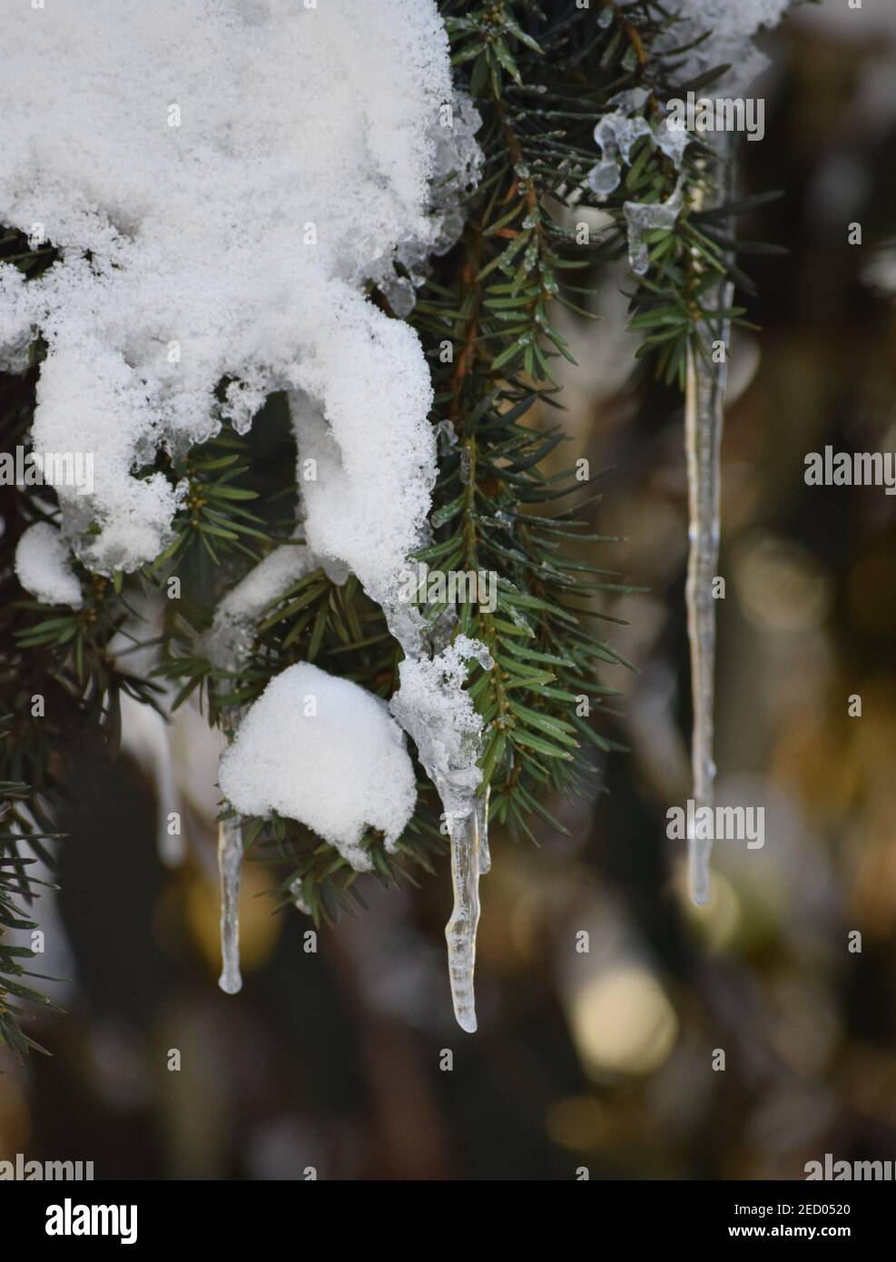 Melt point hi-res stock photography and images - Alamy