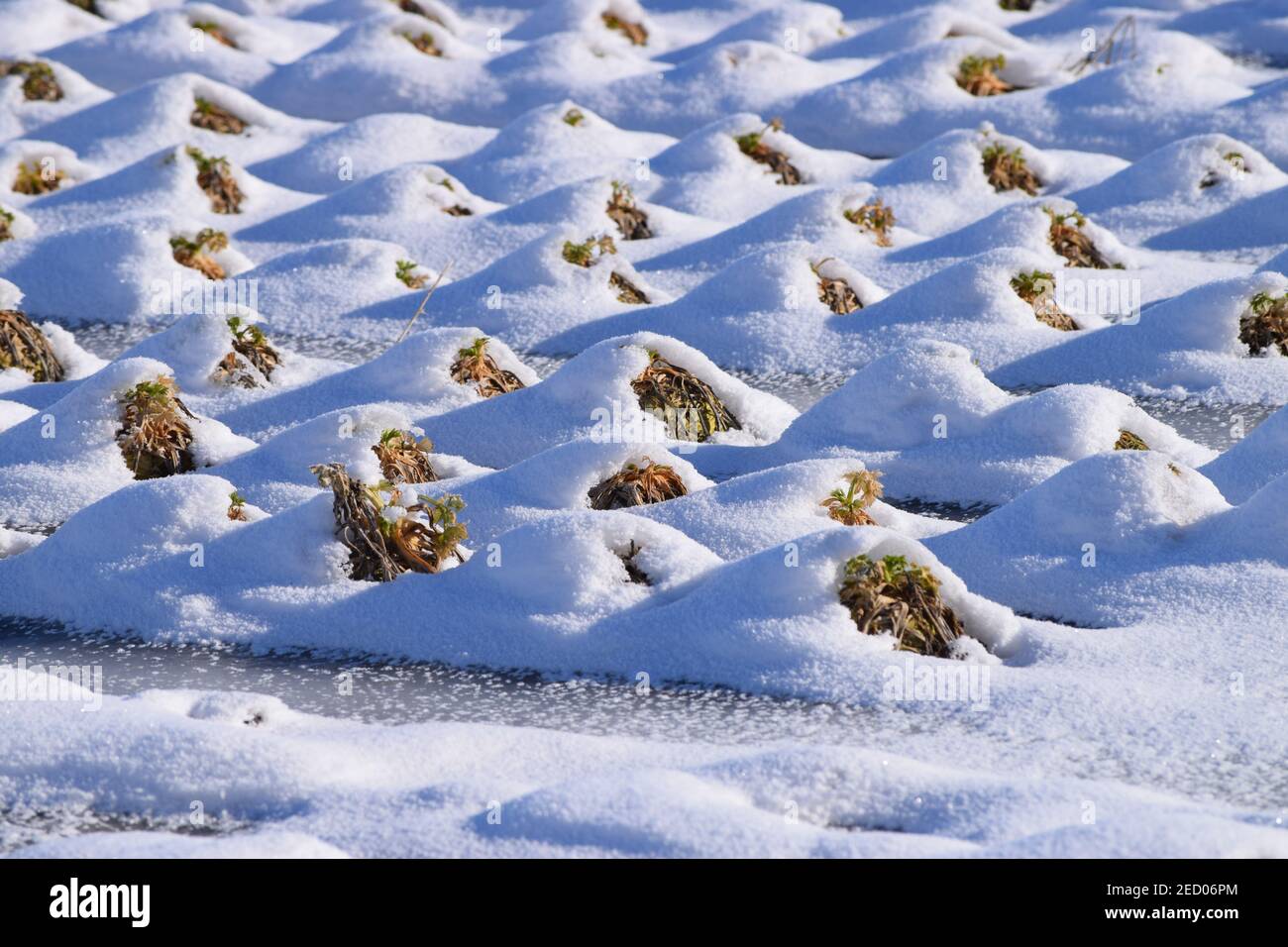 Piled up snow hi-res stock photography and images - Alamy