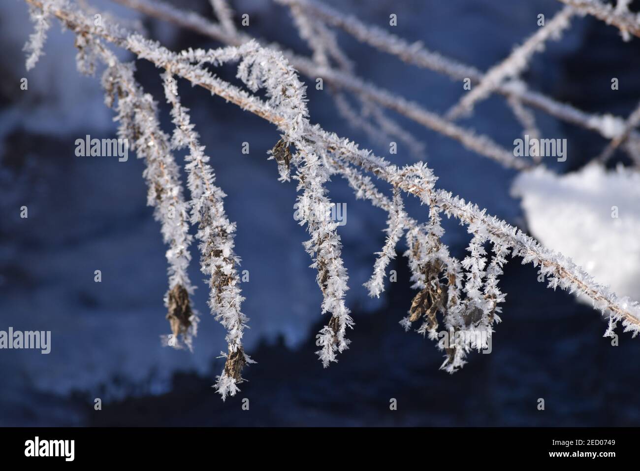 Individual crystals hi-res stock photography and images - Alamy