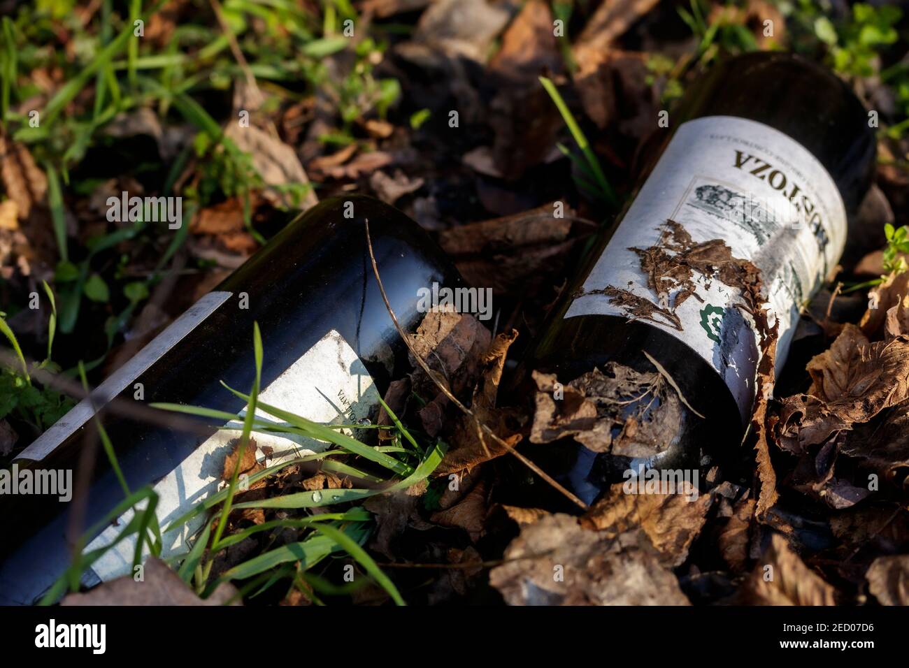 Alcohol bottles trash hi-res stock photography and images - Alamy