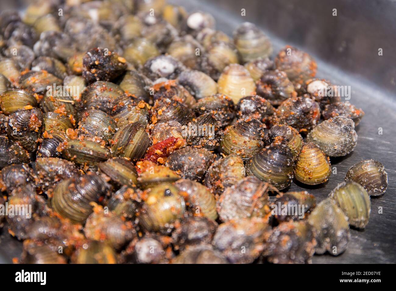 Small sea clam in pepper. Cambodian street food. Tasty spicy seafood ...