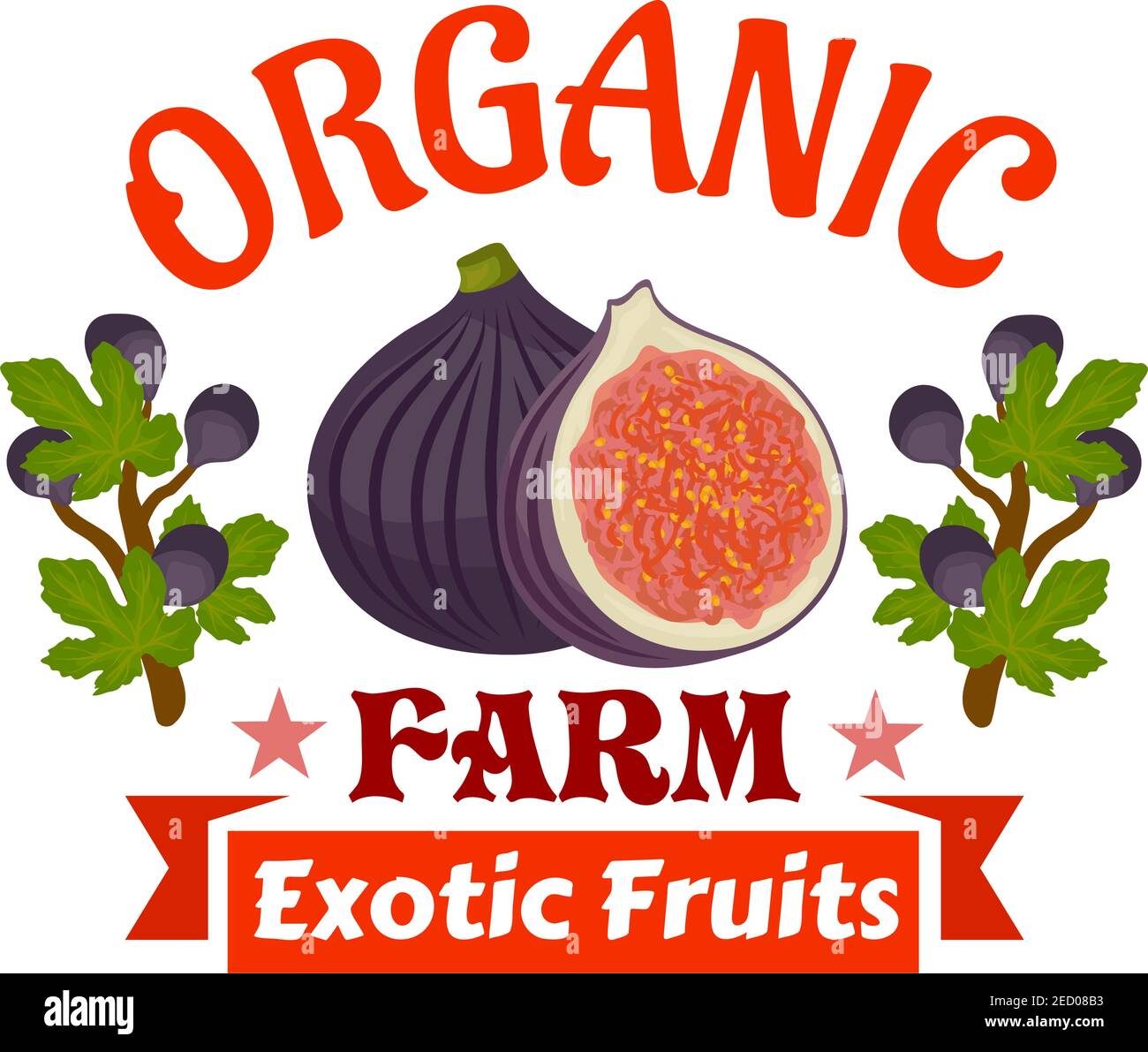 Cut fig Stock Vector Images - Alamy