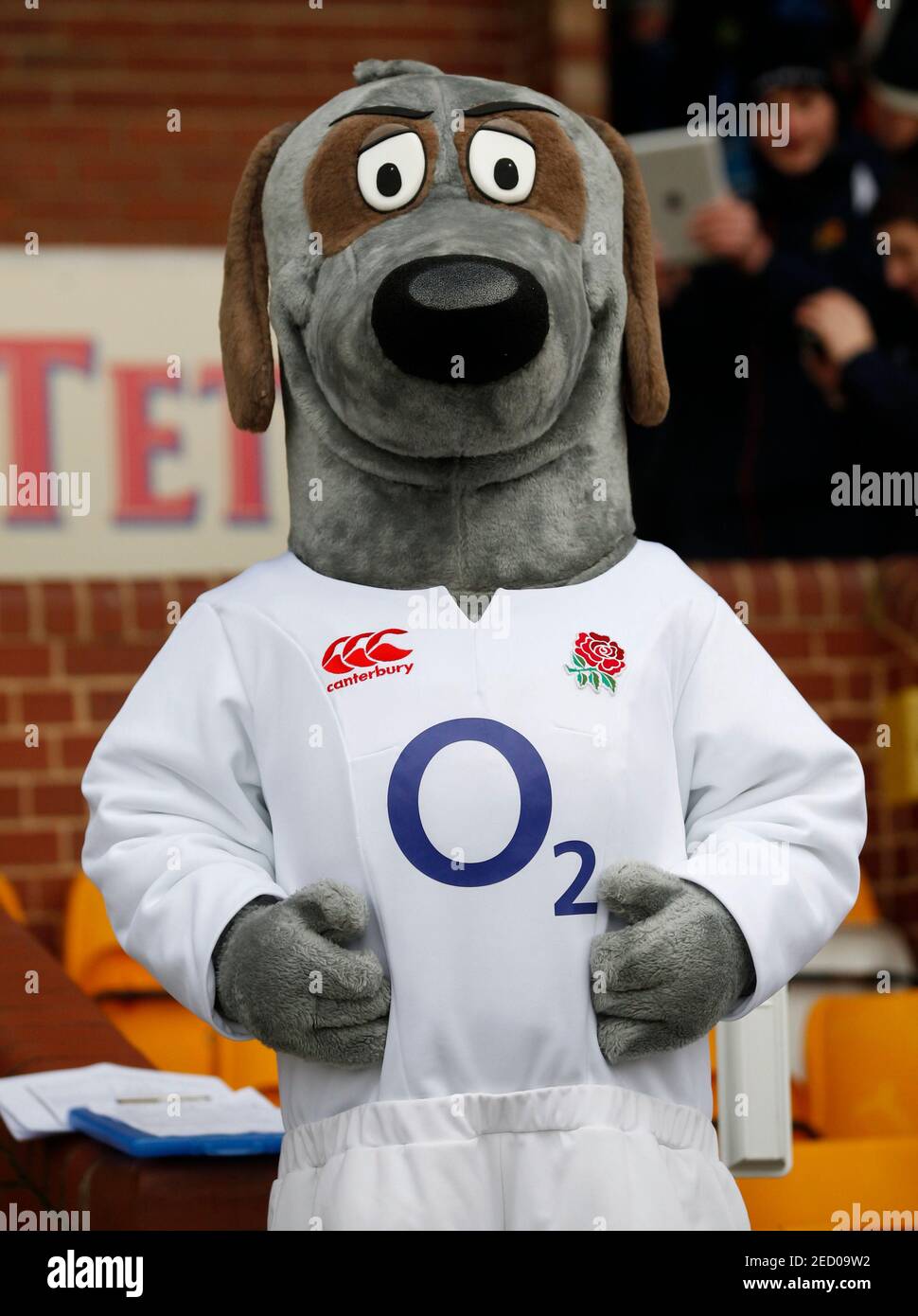 Mascot headingley carnegie stadium hi-res stock photography and images ...