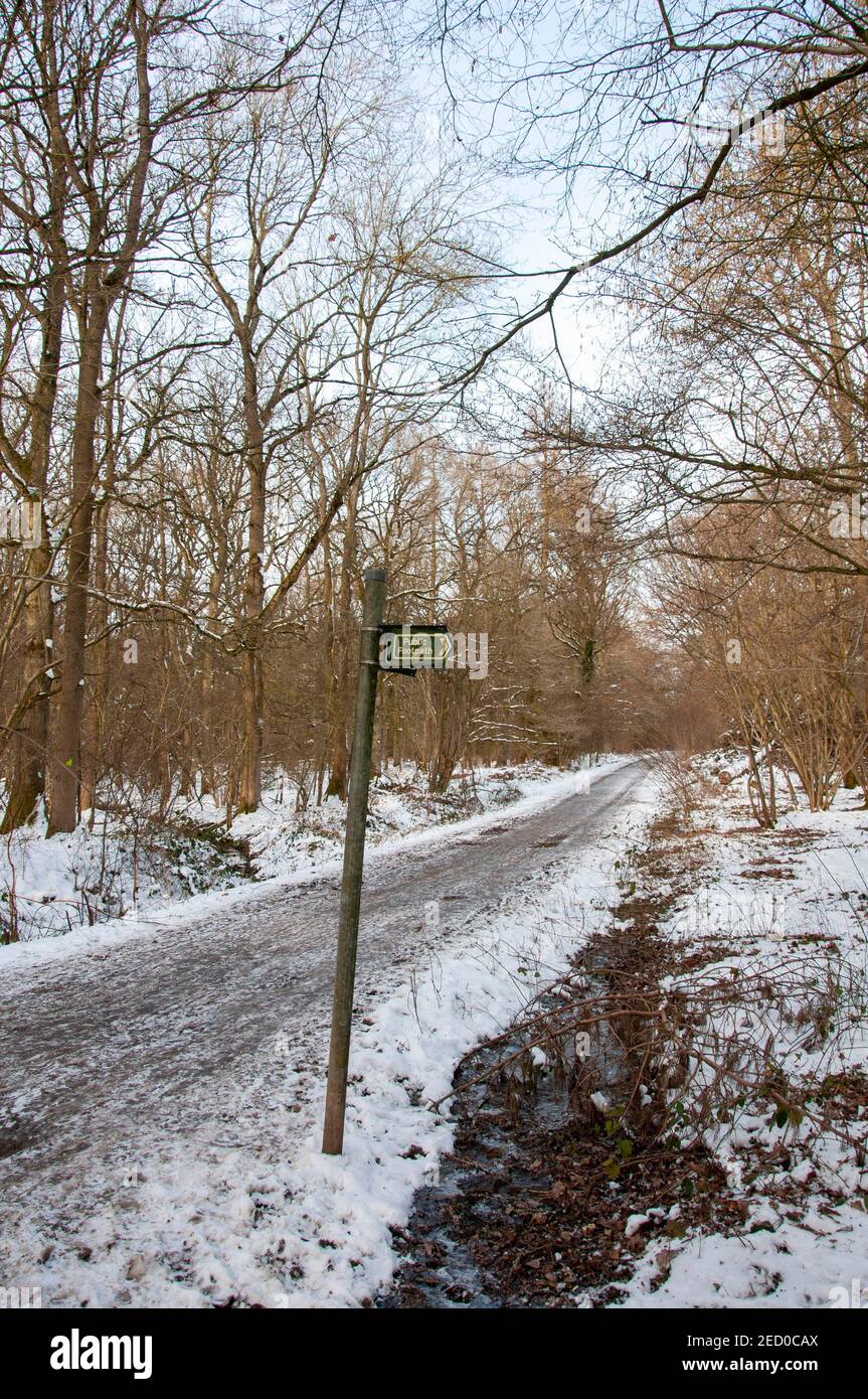 Bourne wood lincolnshire hi-res stock photography and images - Alamy