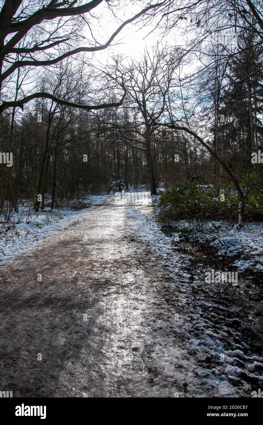 Bourne Woods High Resolution Stock Photography and Images - Alamy