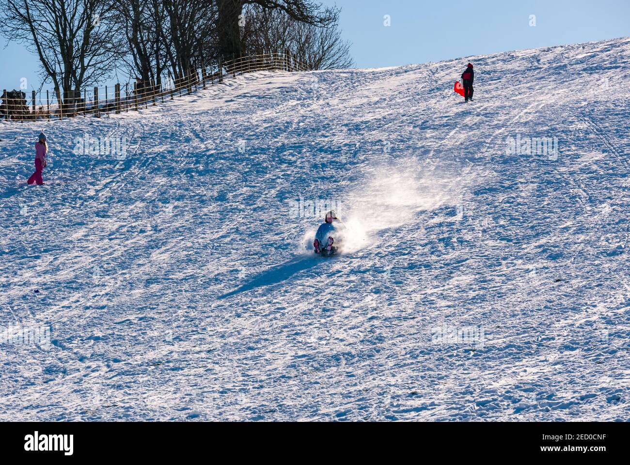 A woman slides down a slope on a sledge sledging on Skid Hill in Winter ...
