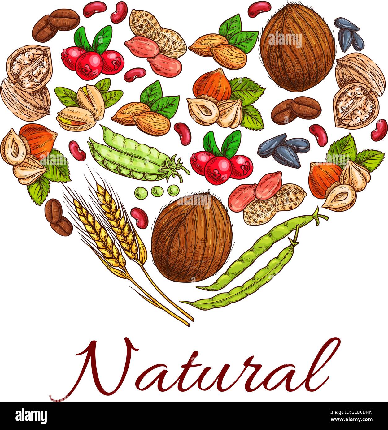 Healthy nuts, grain, berries icons in heart shape. Vegetarian coconut ...