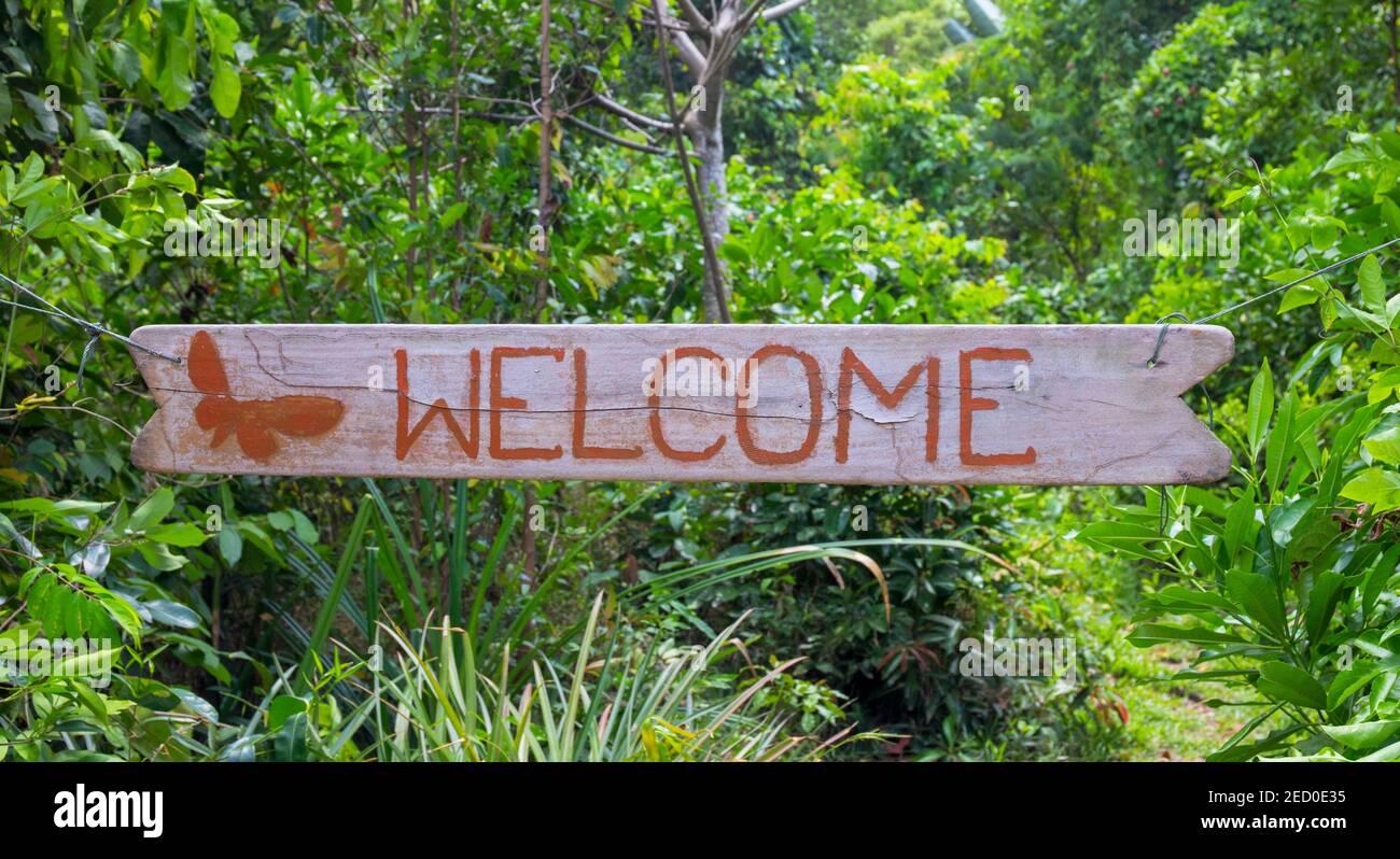 Welcome inscription by red paint on wooden board, green tropical garden ...