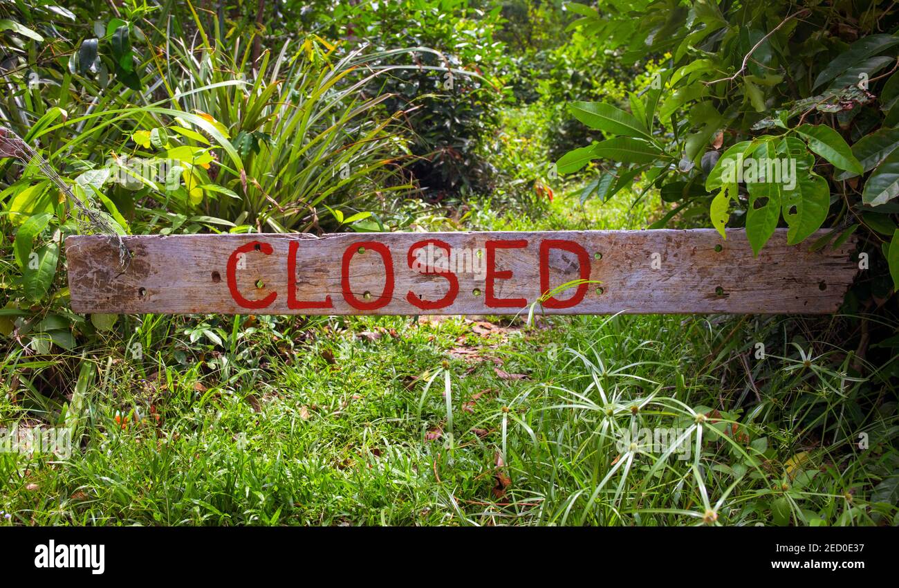Closed sign on wooden board in sunny summer garden. Wooden board with ...
