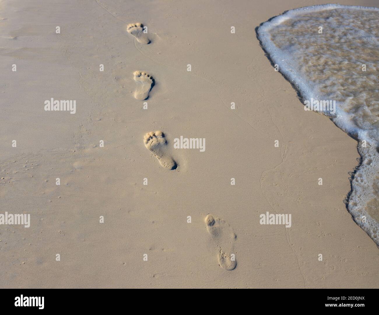 Barefoot walk marks on wet white sand. Beach view photo. Foot marks on ...