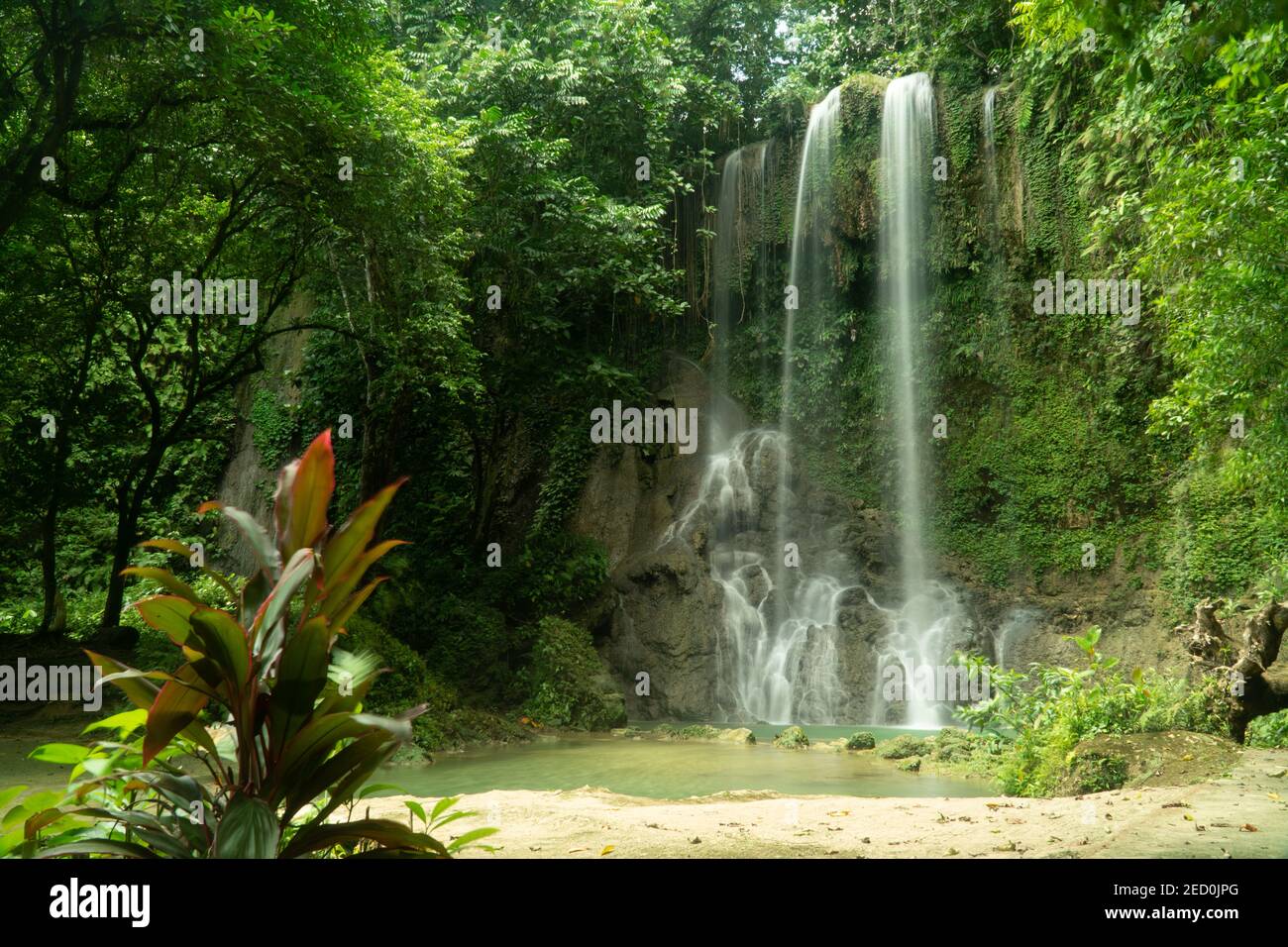 Kawasan Falls in the tropical jungle, Bohol, Philippines. Waterfall in ...