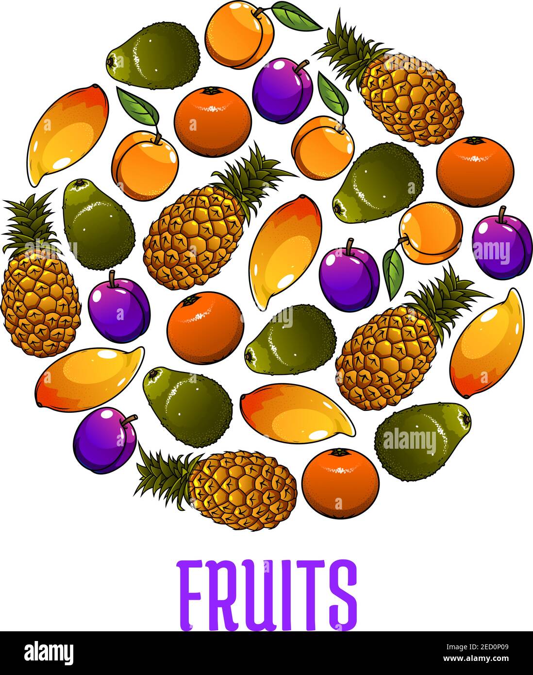 Mango shape Stock Vector Images - Alamy