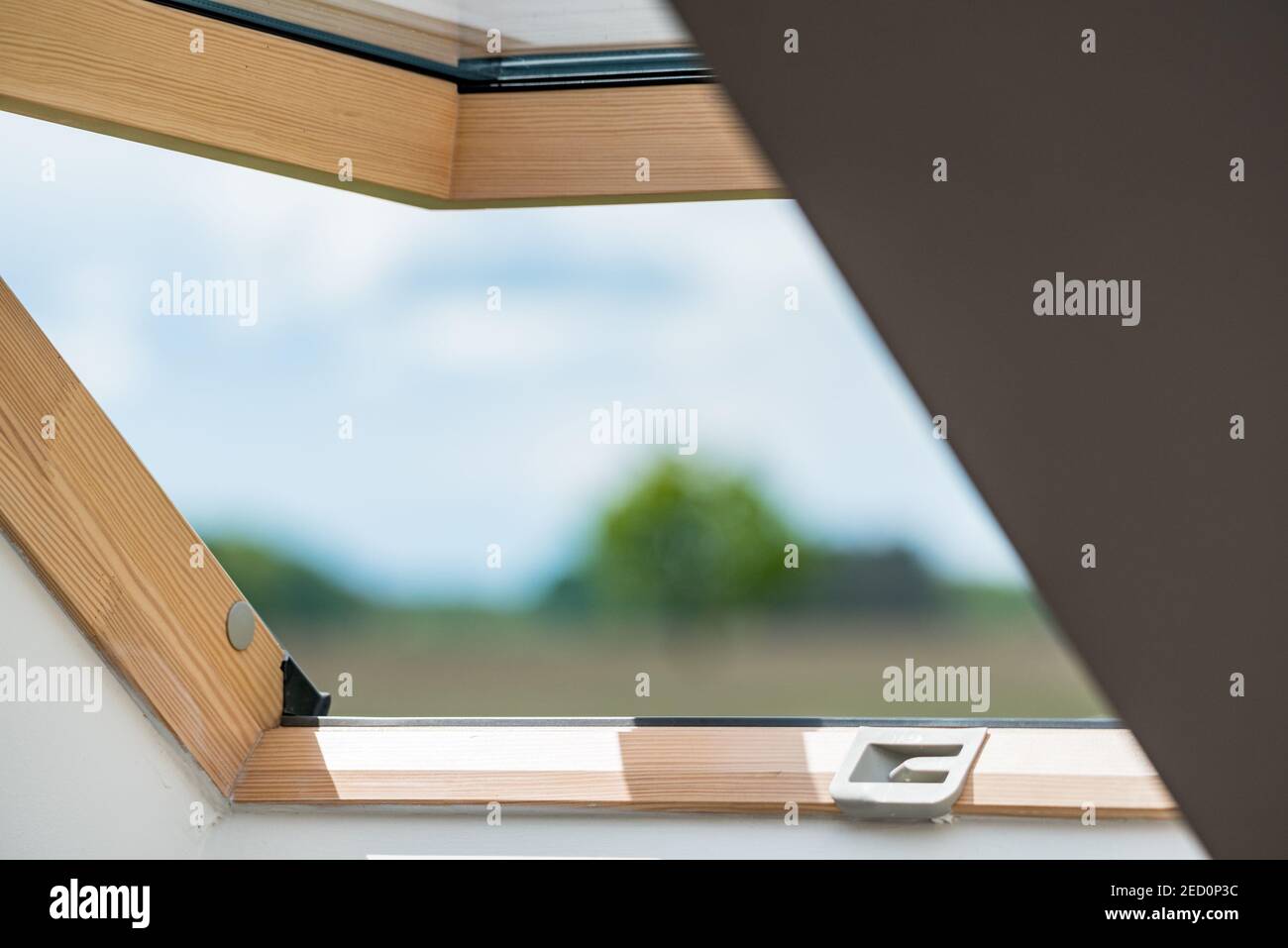 Spring outside the window. A view through the roof window to the green ...